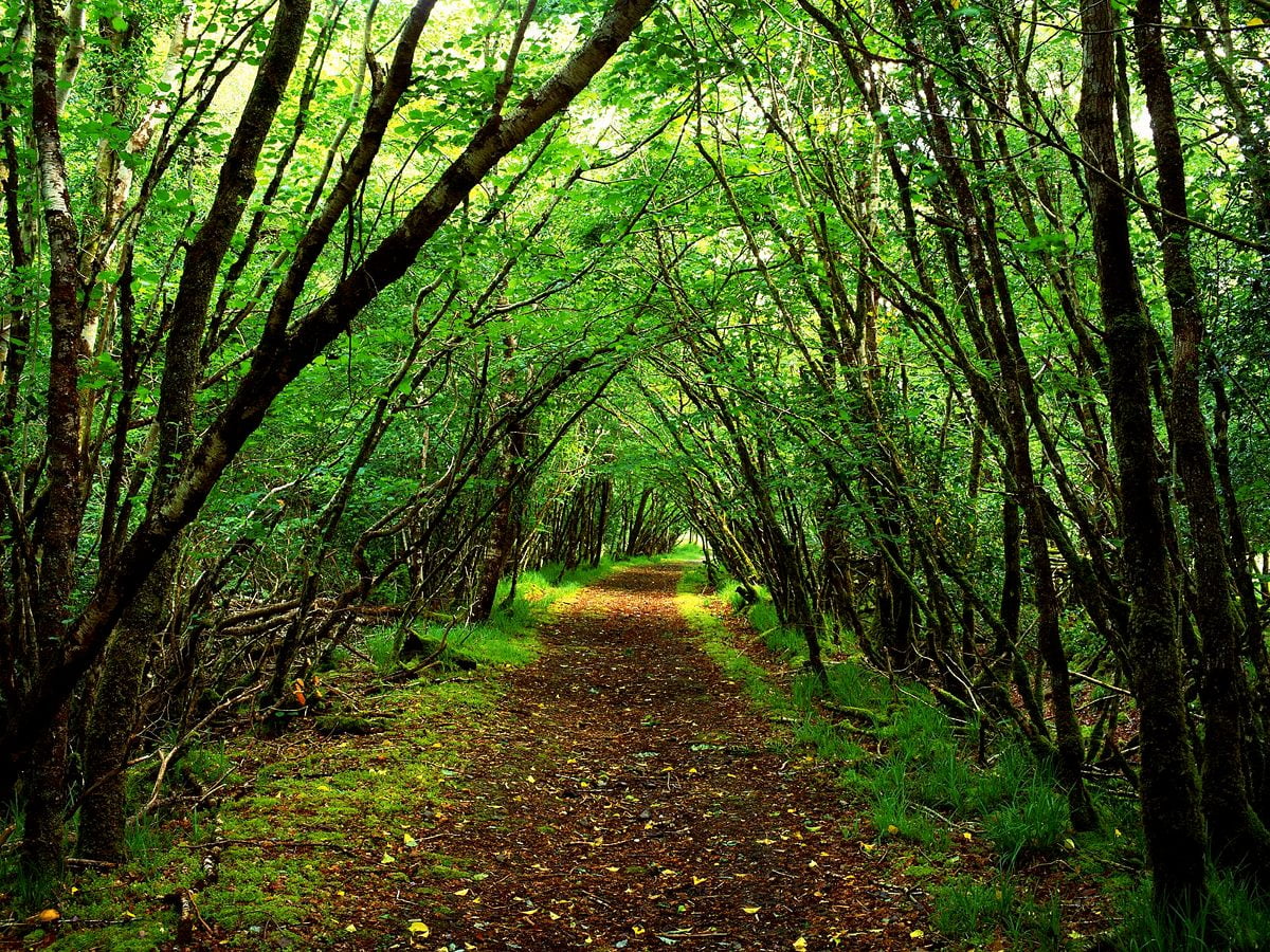 140+ Sfondi Paesaggi | Sfondi Gratis