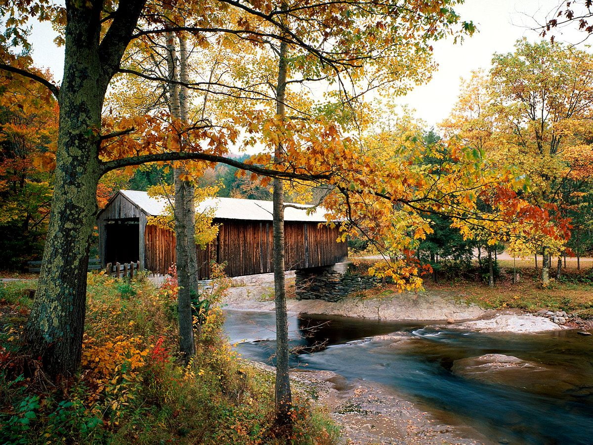 Immagine di sfondo fighissimo Natura, Paesaggio Autunnale, Autunno ...