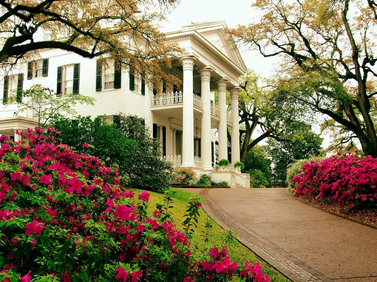 Sfondo Usa, Fiori, Casa | Scarica Sfondi Migliori