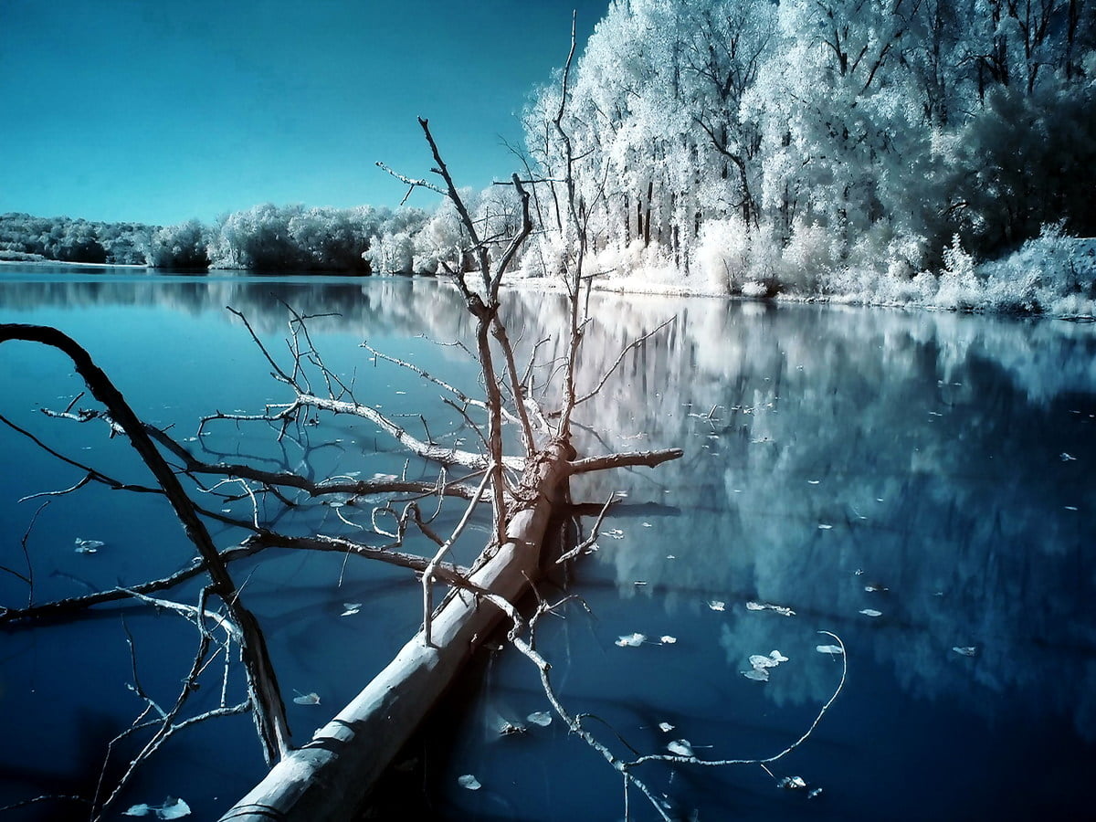 320+ Sfondi Inverno | Sfondi Gratis