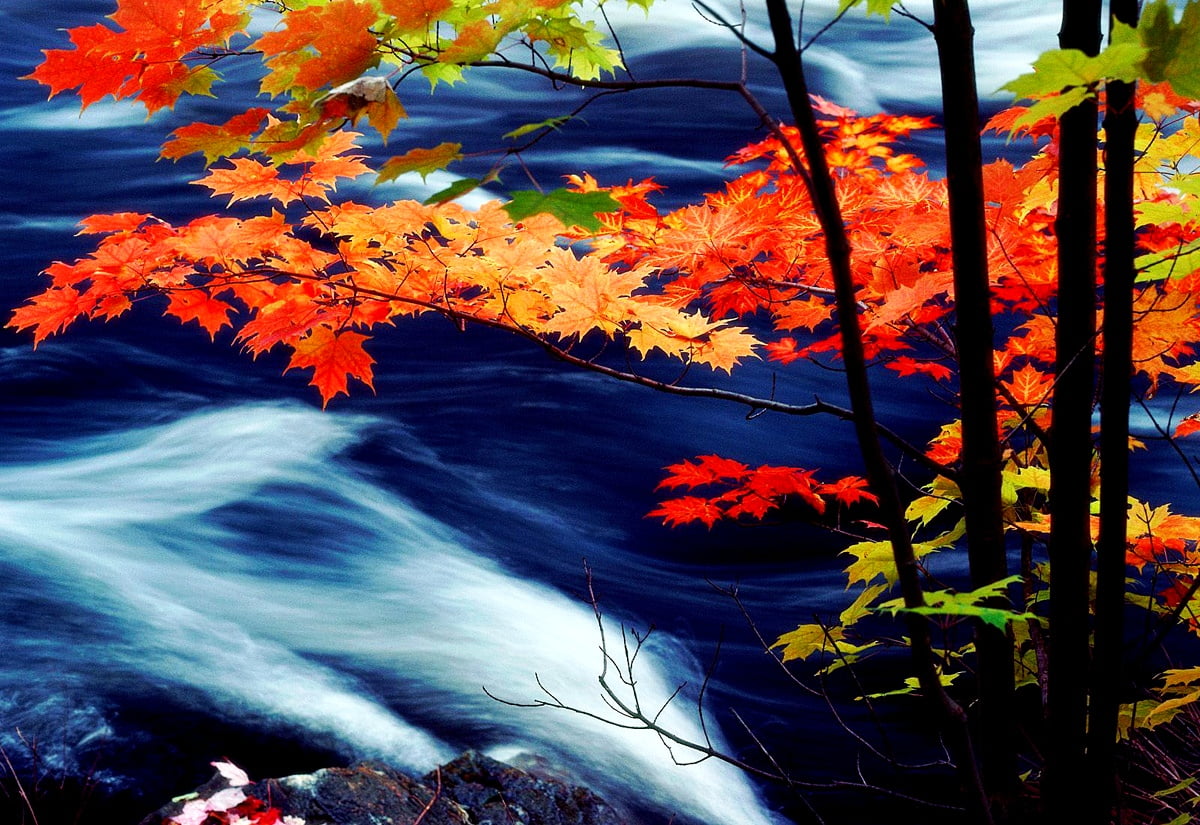 Sfondo colorato Paesaggio Autunnale, Natura, Autunno | TOP Immagini