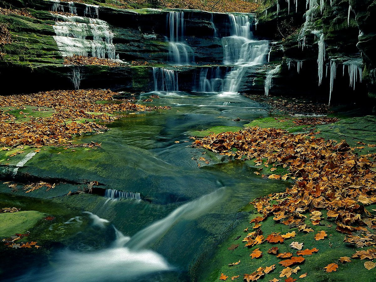 Sfondi Starved Rock State Park 🔥 Sfondi Gratis
