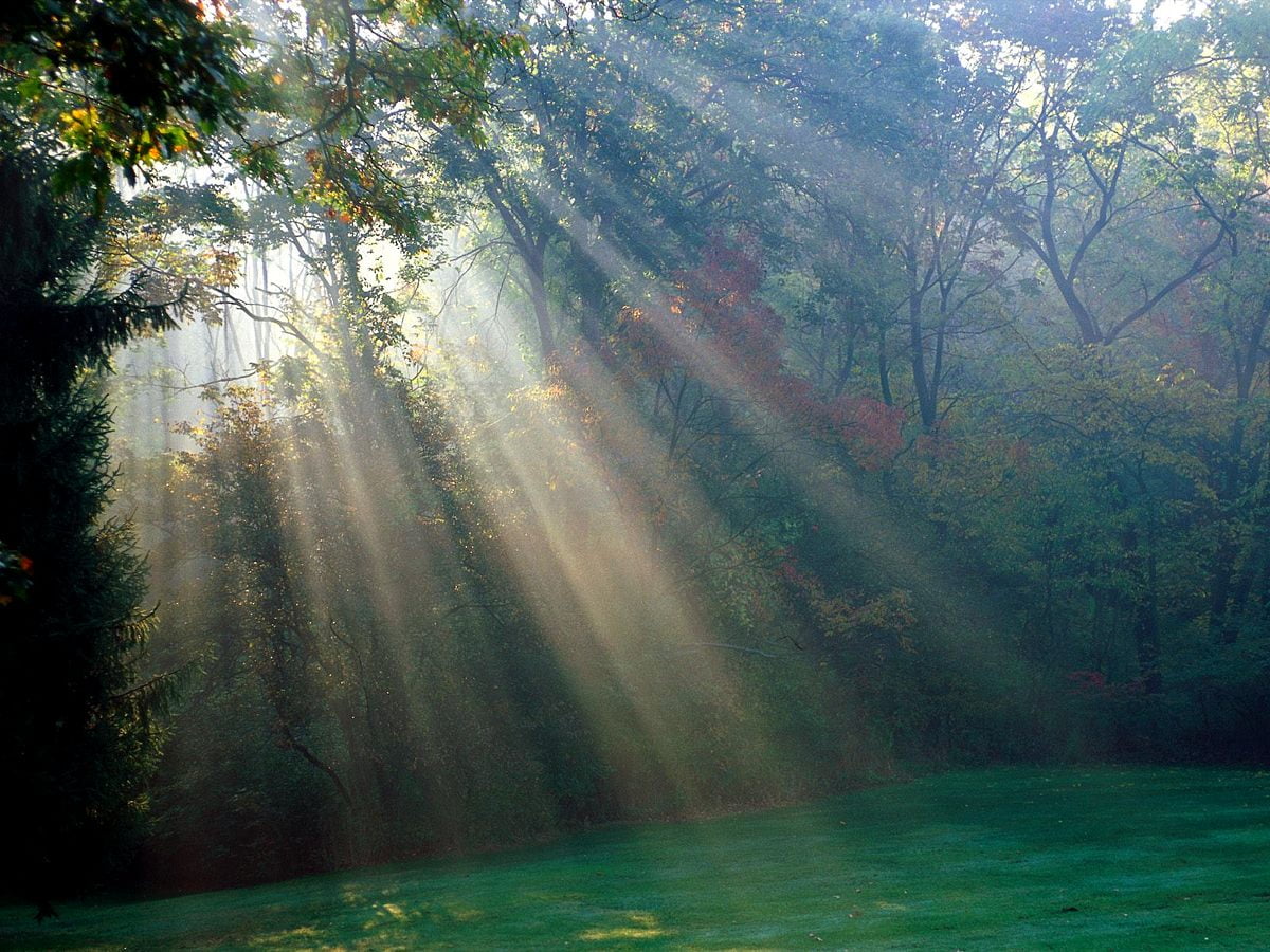 340+ Sfondi Luce del sole HD | Sfondi Gratis