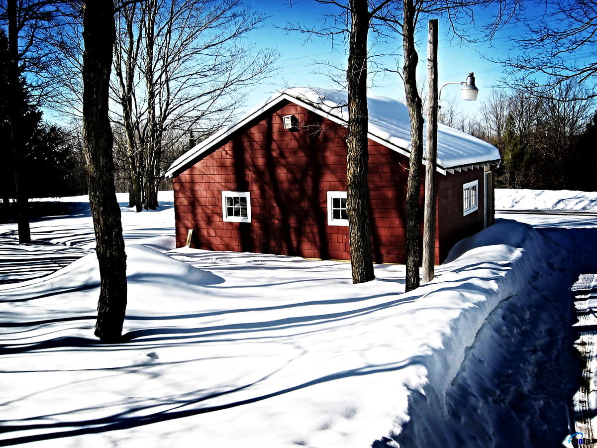 320+ Sfondi 4K Inverno | Sfondi Gratis