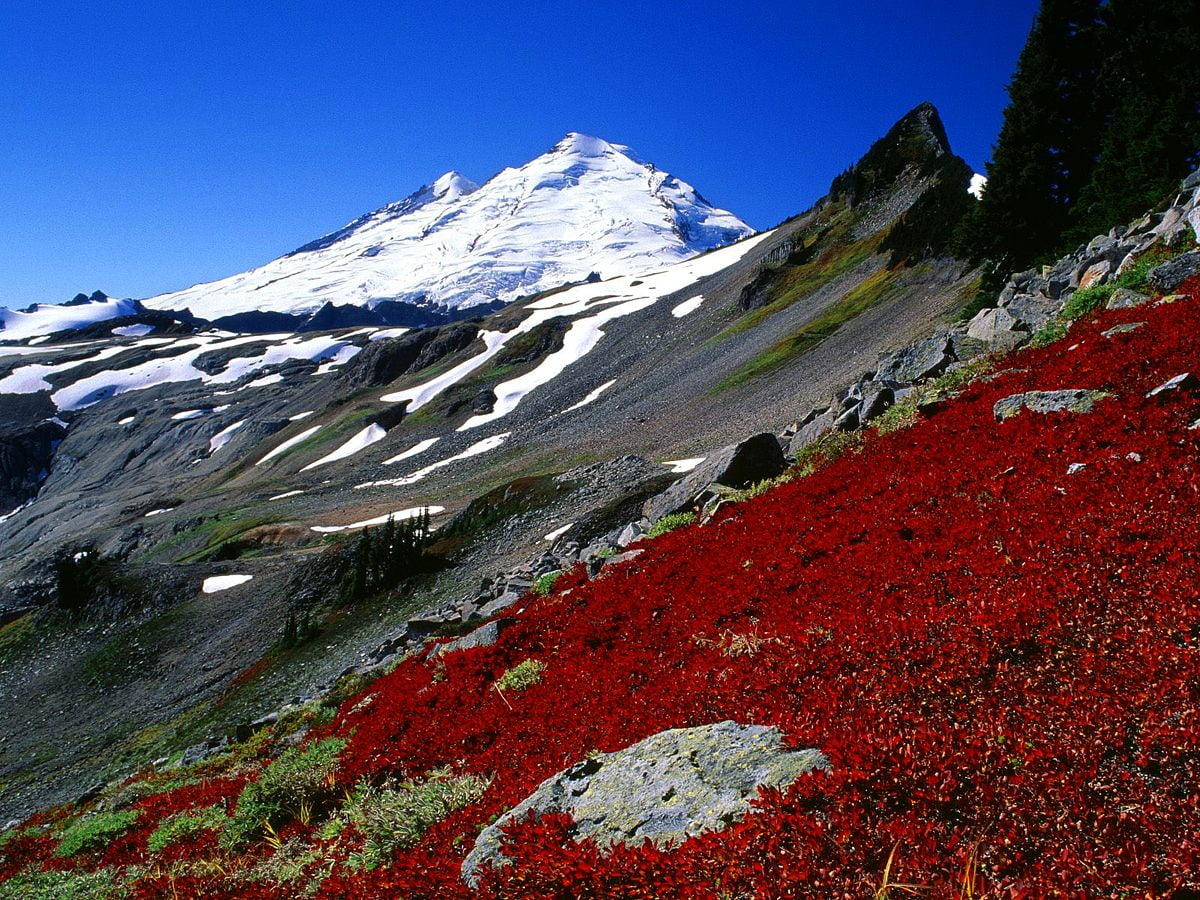 Sfondo Paesaggio Autunnale, Montagne, Natura | Migliori Sfondi Gratis