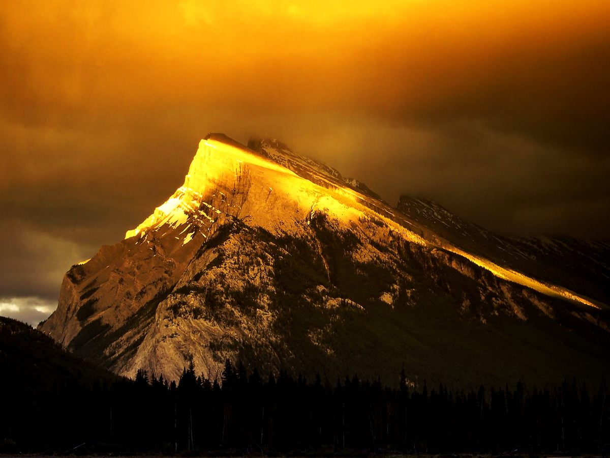 20+ Sfondi Alberta | Sfondi Gratis