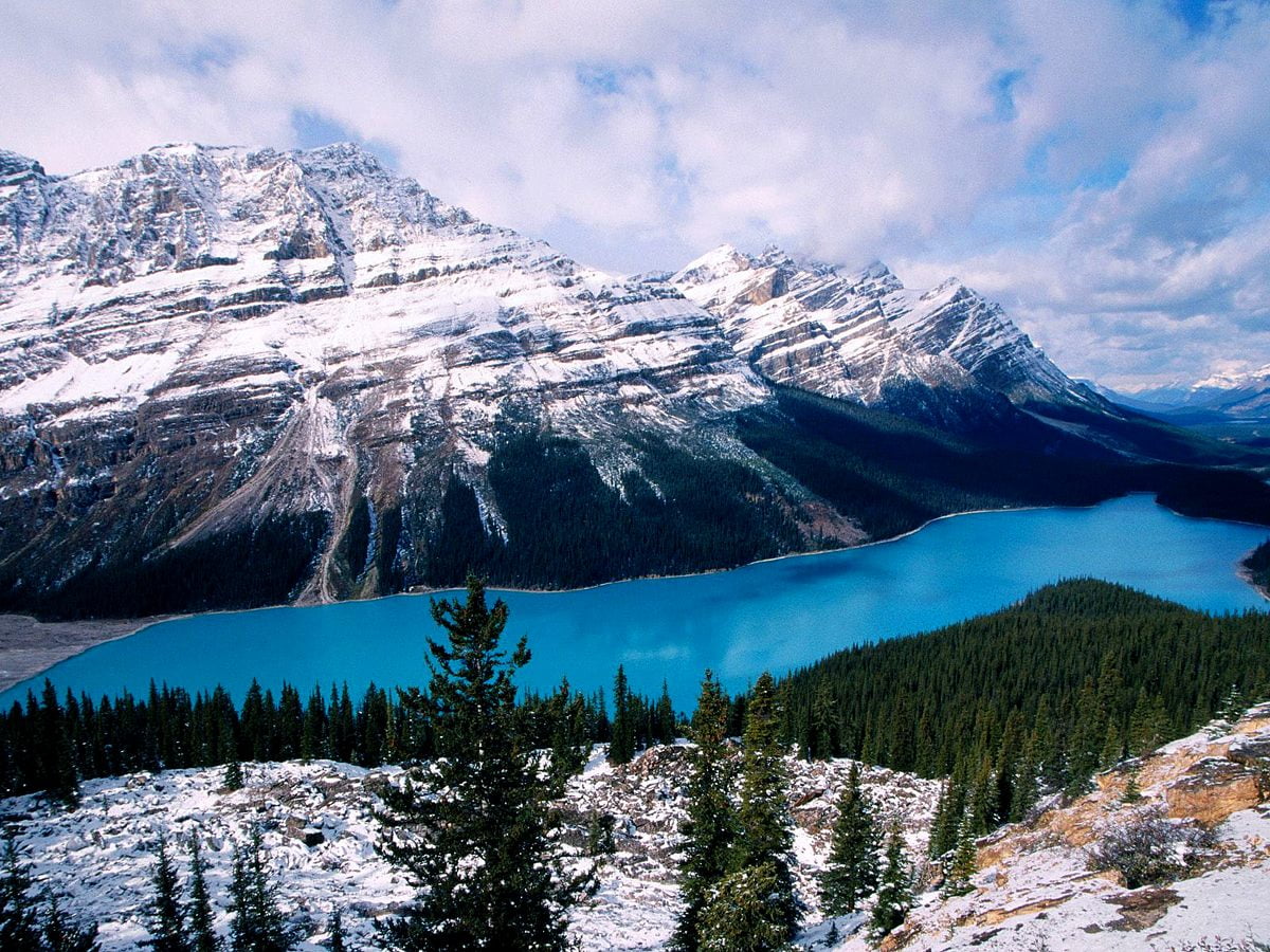 20+ Sfondi Alberta 🔥 Sfondi Gratis