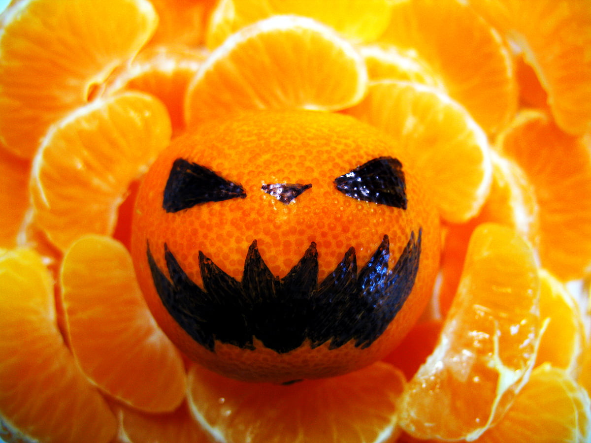 Sfondo Splendide Foto, Citrus Reticulata, Arance | TOP Sfondi