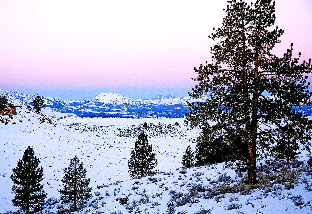 Inverno, Neve, Natura - immagine | Scarica Immagini