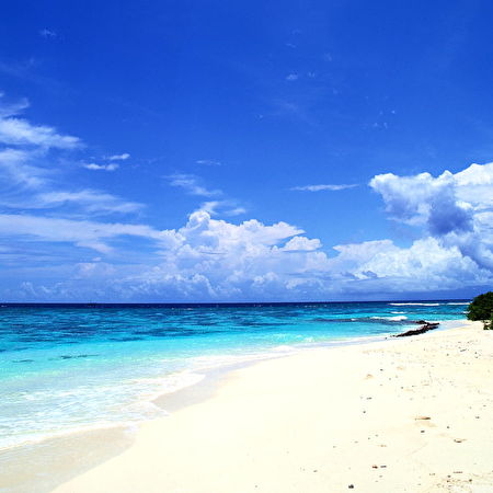 Immagine estetico widescreen Acquario Di Genova, Genova, Spiaggia ...